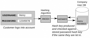 What is the Difference Between Encryption and Hashing - Leet Privacy